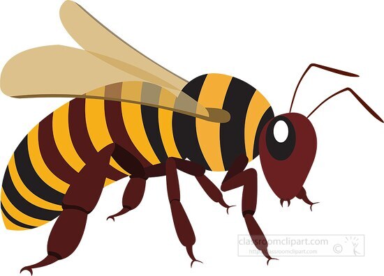 Which Bee is the Real Queen of Honey? Surprise- it’s not the Queen Bee ...