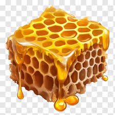 What is for Breakfast? Beezy Beez Raw Honey, from the Hives of New Yor ...